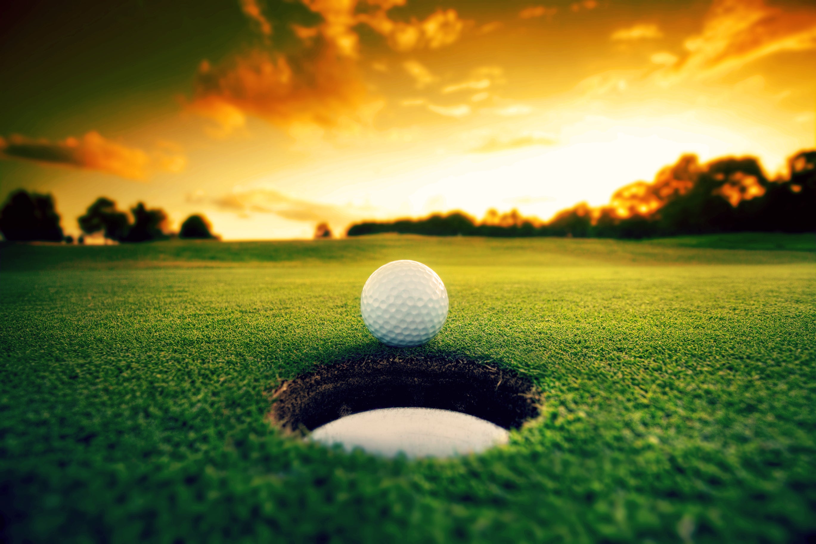 Golf Lover